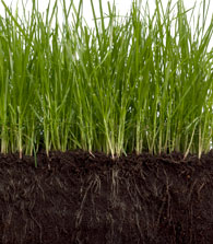 Soil-Aid – Lueders Environmental